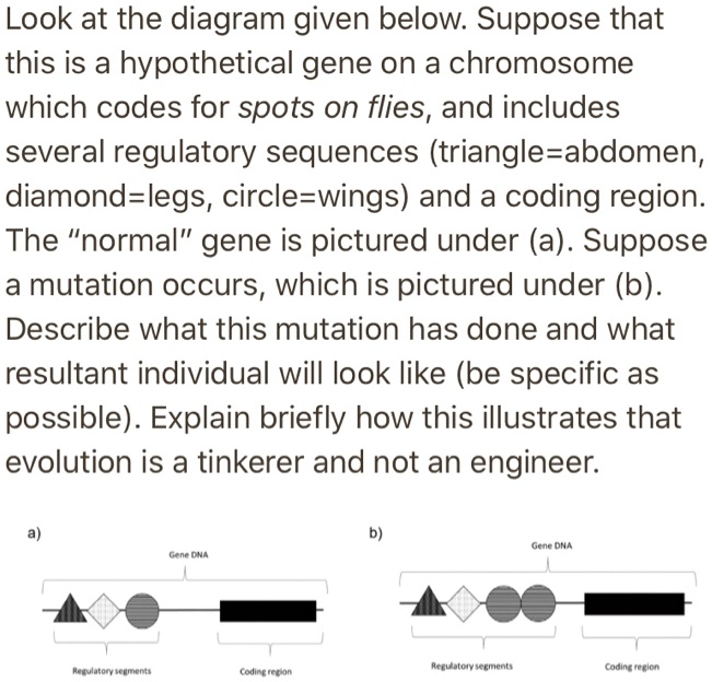 SOLVED: Look at the diagram given below Suppose that this is a ...