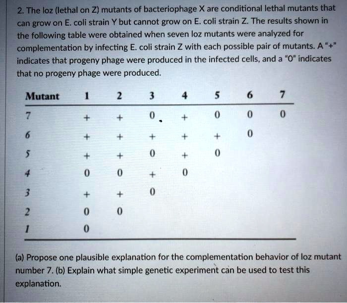 SOLVED: 2. The loz (lethal on Z) mutants of bacteriophage X are conditional lethal mutants that ...