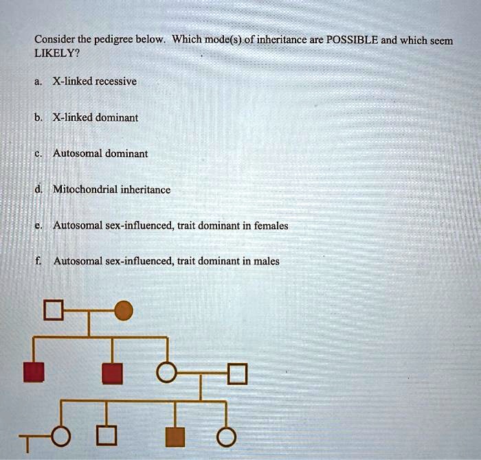 Solved Consider The Pedigree Below Which Mode S Of Inheritance Are