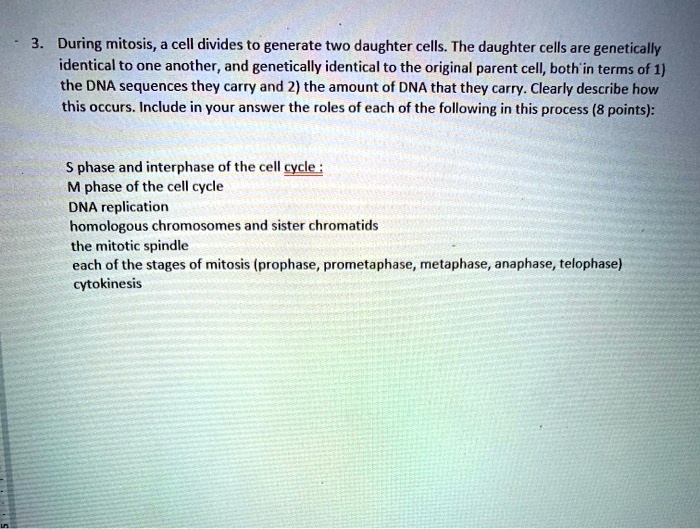 during mitosis cell divides to generate two daughter cells the daughter ...