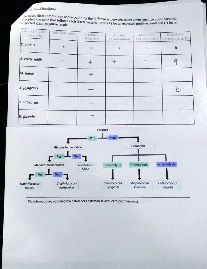 Onclusion Questions: Using the dichotomous key above outlining the differences between select ...