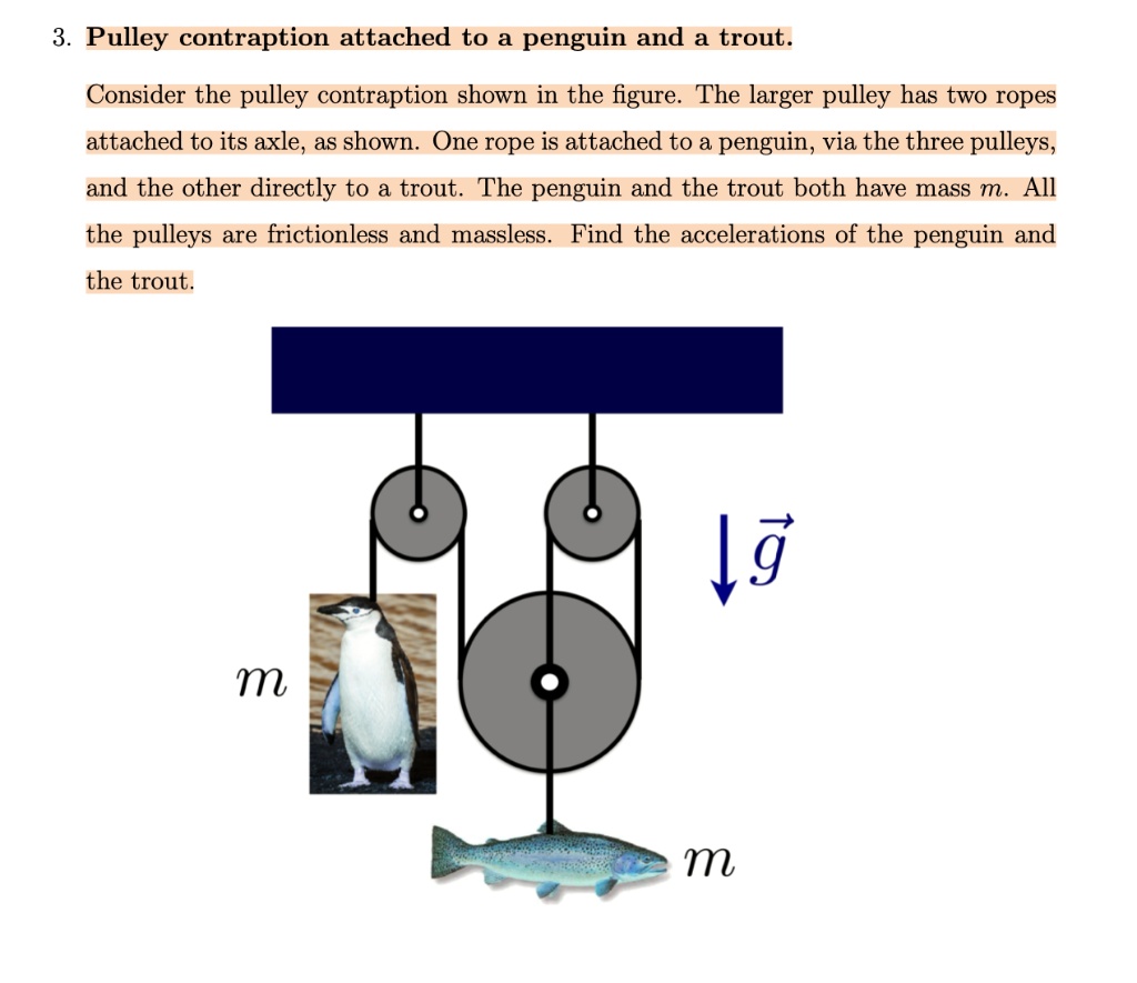 SOLVED: 3 Pulley contraption attached to penguin and a trout. Consider ...