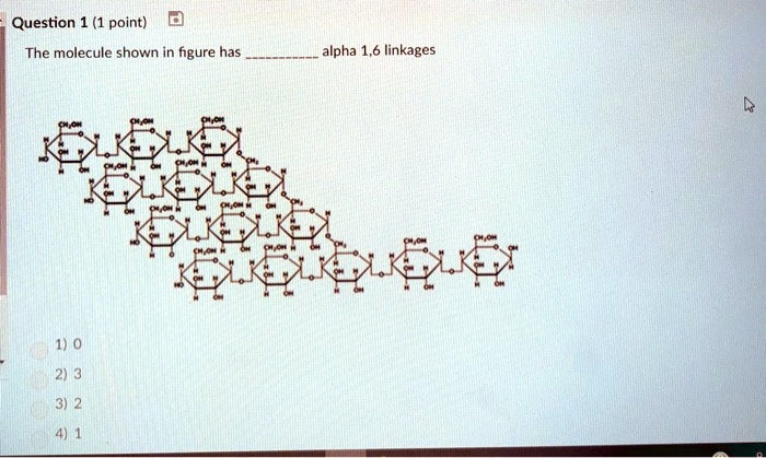 SOLVED: Question 1 (1 point) The molecule shown in figure has alpha 1,6 ... SOLVED: Question 1 (1 point) The molecule shown in figure has alpha 1,6 ...