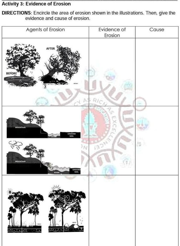 I need the right answer. I need this nonsense report!!' Activity 3 ...