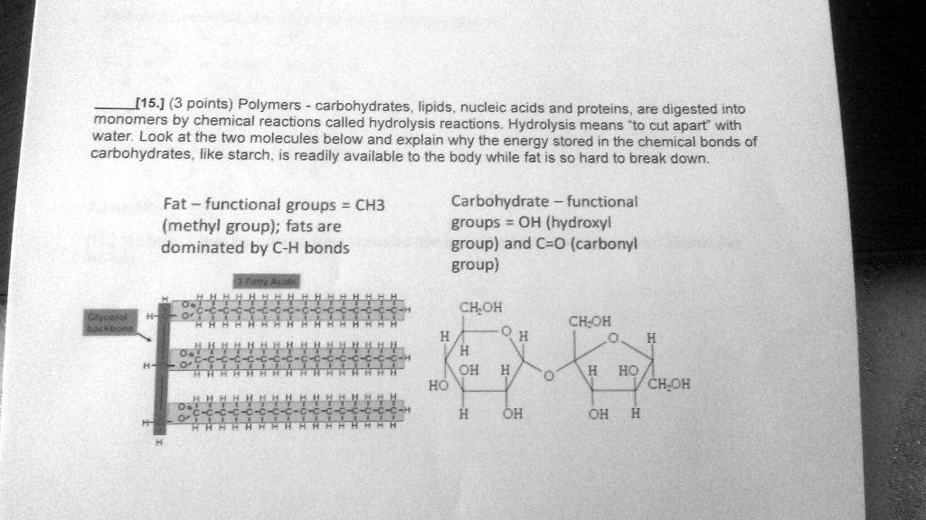 SOLVED: I15.] (3 points) Polymers carbohydrates lipids nucleic acids ...