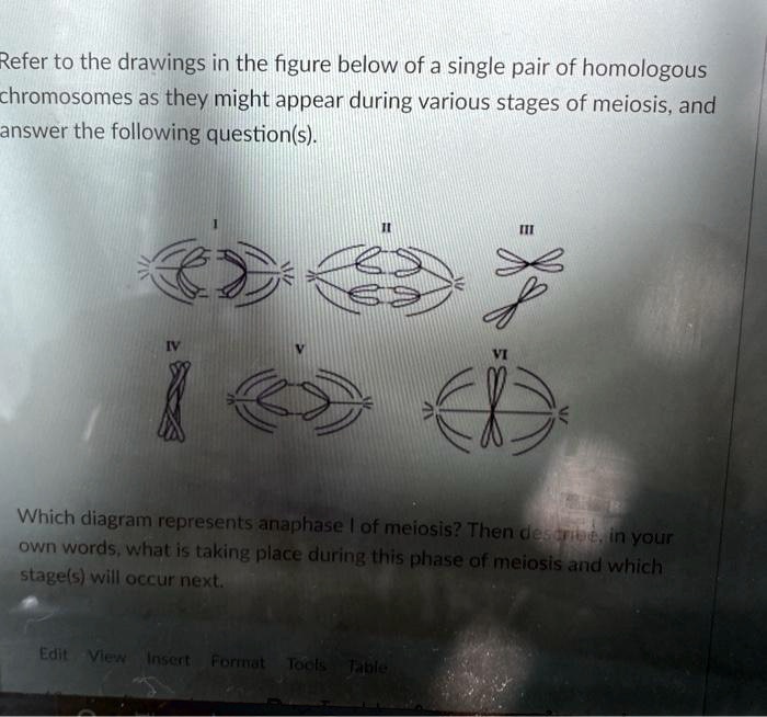 SOLVED: Refer to the drawings in the figure below of a single pair of ... SOLVED: Refer to the drawings in the figure below of a single pair of ...