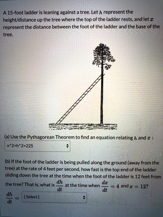 A 15-foot ladder is leaning against a tree. Let h represent the height/distance up the tree ...