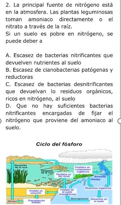 SOLVED: Lo necesito urgente es para hoy por favor A B C D Cuál es la ... SOLVED: Lo necesito urgente es para hoy por favor A B C D Cuál es la ...