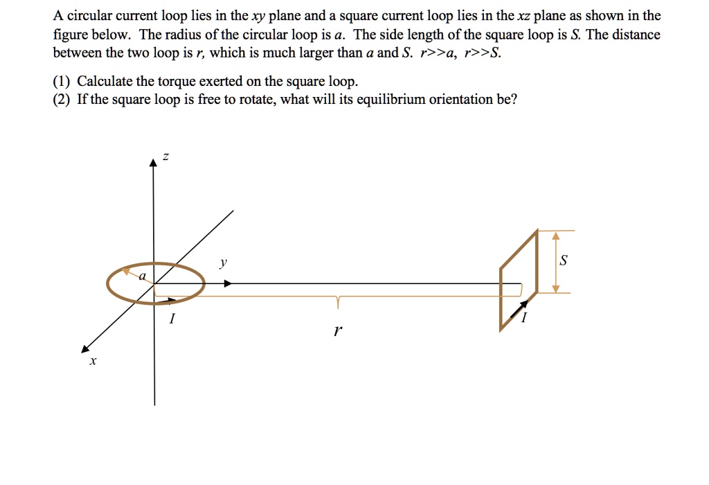 SOLVED: A circular current loop lies in the xy plane and a square current loop lies in the xz ...