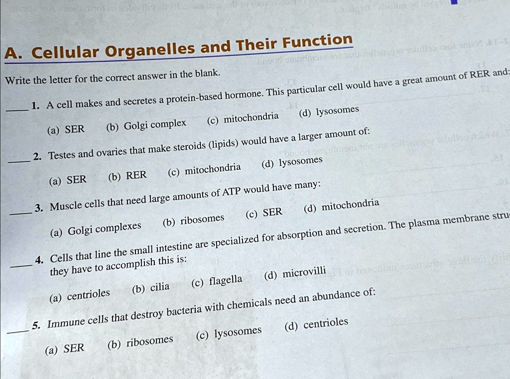 SOLVED: A. Cellular Organelles and Their Function Write the letter for ...