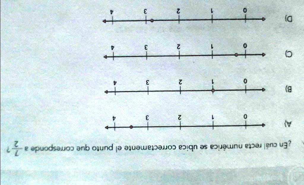 SOLVED: porfa ayuda doy coronita plis D) 1 [En cuál recta numérica se ... SOLVED: porfa ayuda doy coronita plis D) 1 [En cuál recta numérica se ...