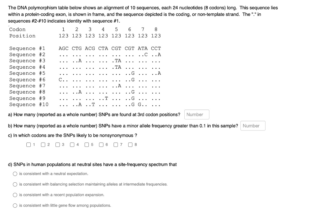the dna polymorphism table below shows an alignment of 10 sequences each 24 nucleotides 8 codons ...