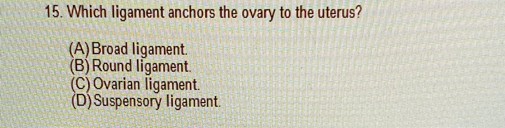 15. Which ligament anchors the ovary to the uterus? (A) Broad ligament ...