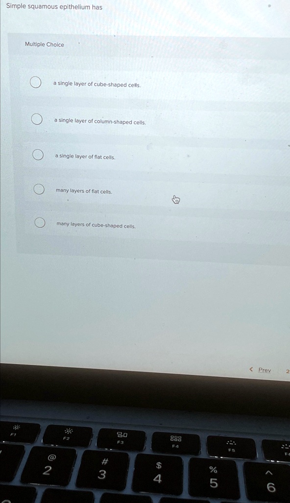 Simple squamous epithelium has Multiple Choice a single layer of cube-shaped cells. a single ...