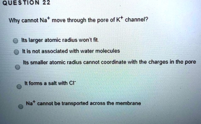 SOLVED:QUEstion 22 Why cannot Nat move through the pore of K+ channel ...