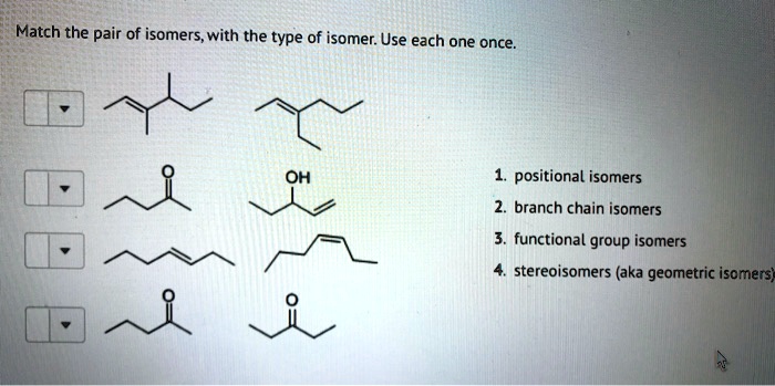Solved Match The Pair Of Isomers With The Type Of Isomer Use Each One Once Oh Positional