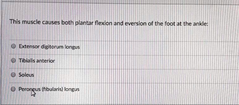 SOLVED: This muscle causes both plantar flexion and eversion of the ...