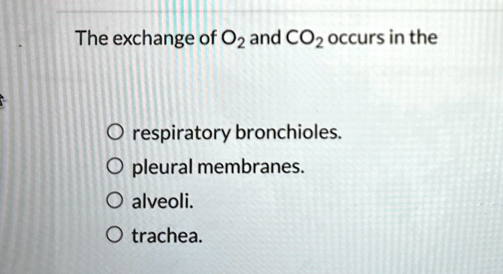 The exchange of O2 and CO2 occurs in the respiratory bronchioles ...