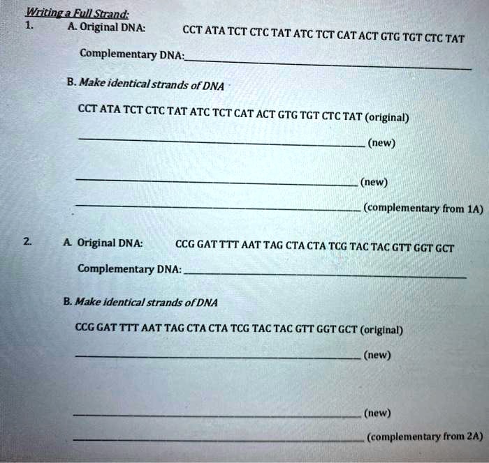 SOLVED: Writing a Full Strand: A Original DNA: CCT ATA TCT CTCTAT ATC ...