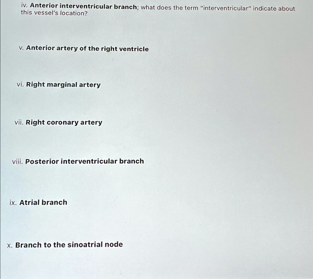 iv anterior interventricular branch what does the term interventricular ...