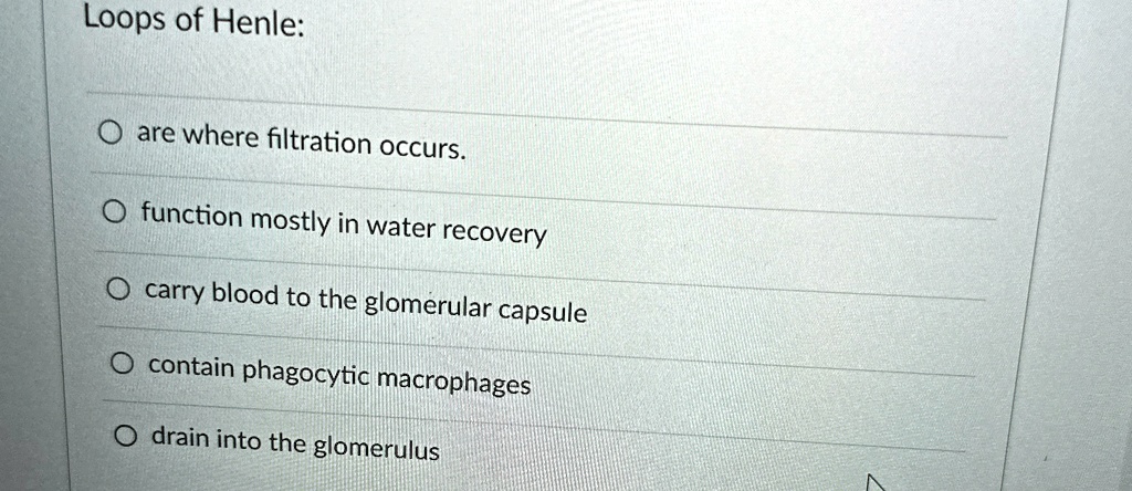 loops of henle o are where filtration occurs o function mostly in water ...