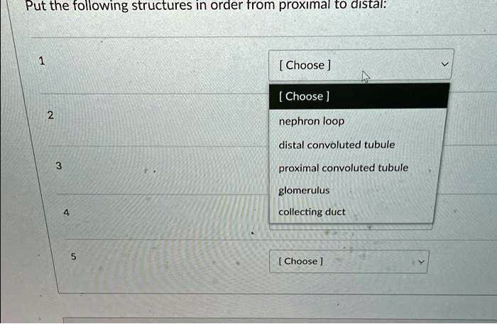 Put the following structures in order from proximal to distal: 1 ...