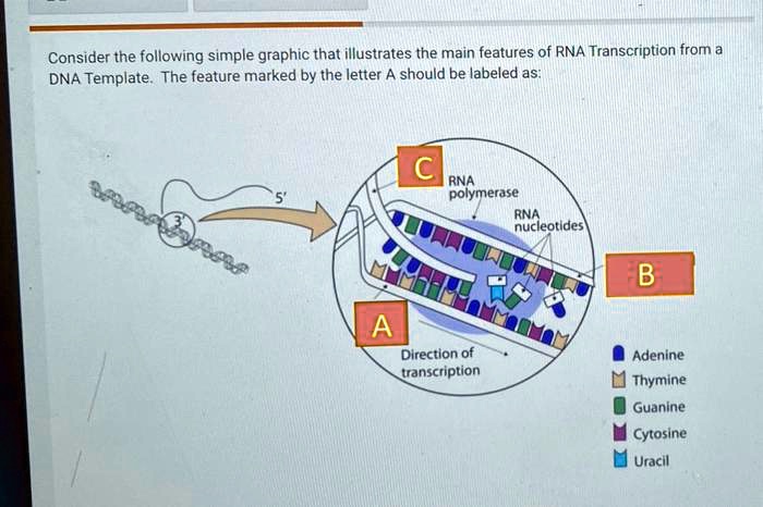SOLVED: Consider the following simple graphic that illustrates the main ...