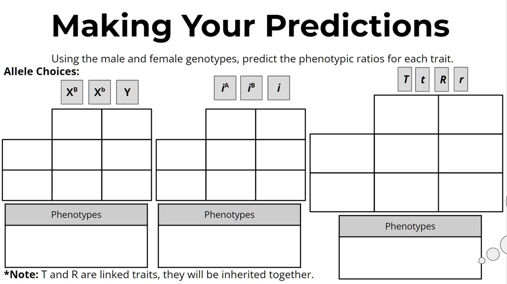 Making Your Predictions Using the male and female genotypes, predict ...