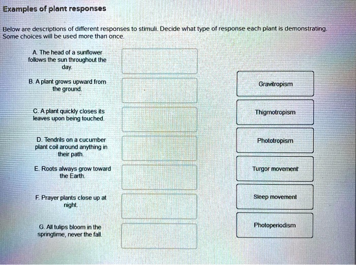 examples of plant responses below are descriptions of different ...