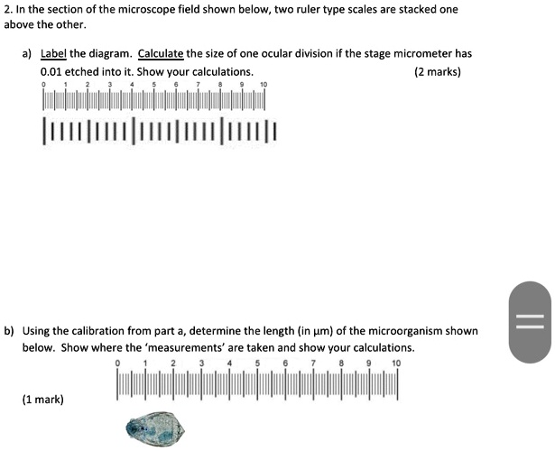 2 in the section of the microscope field shown below above the other ...