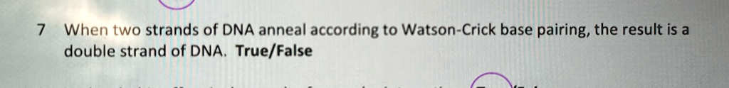 7 When two strands of DNA anneal according to Watson-Crick base pairing ...
