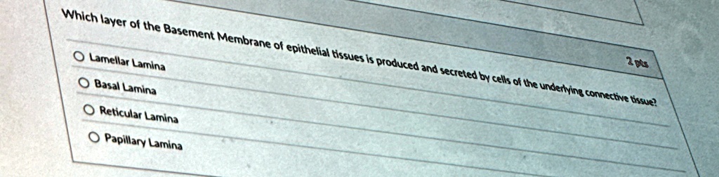 2 pls which layer of the basement membrane of epithelial tissues is ...