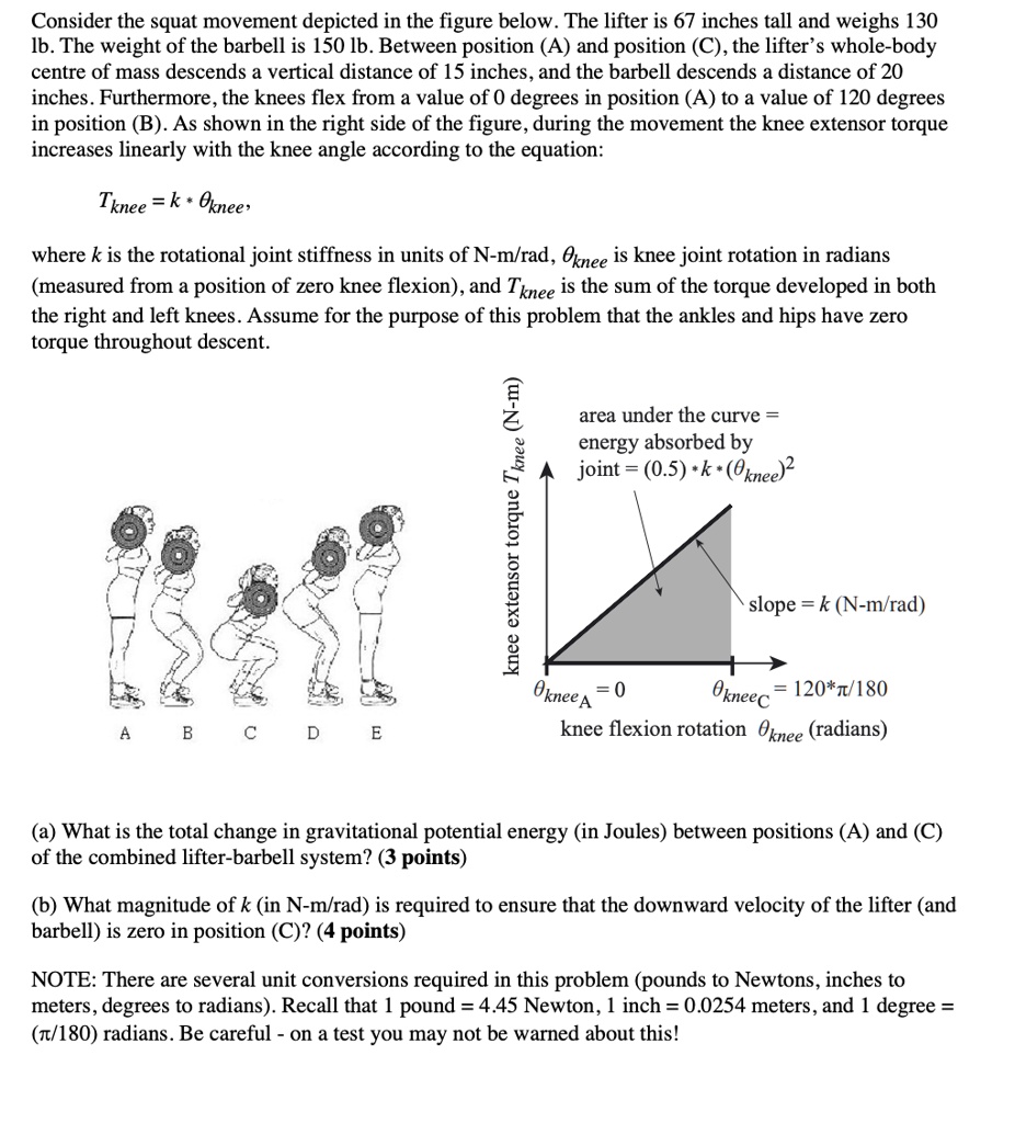 SOLVED: Consider the squat movement depicted in the figure below. The ...