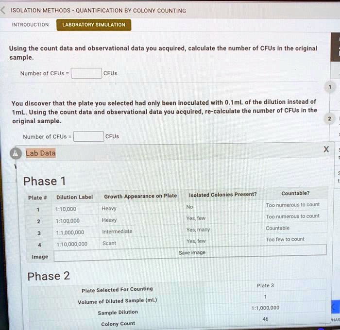 SOLVED: Text: ISOLATION METHODS QUANTIFICATION BY COLONY COUNTING Introduction Laboratory ...