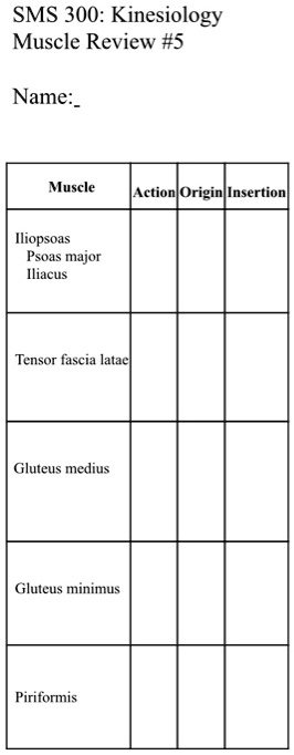 SOLVED: SMS 300: Kinesiology Muscle Review #5 Name: Muscle Action ...