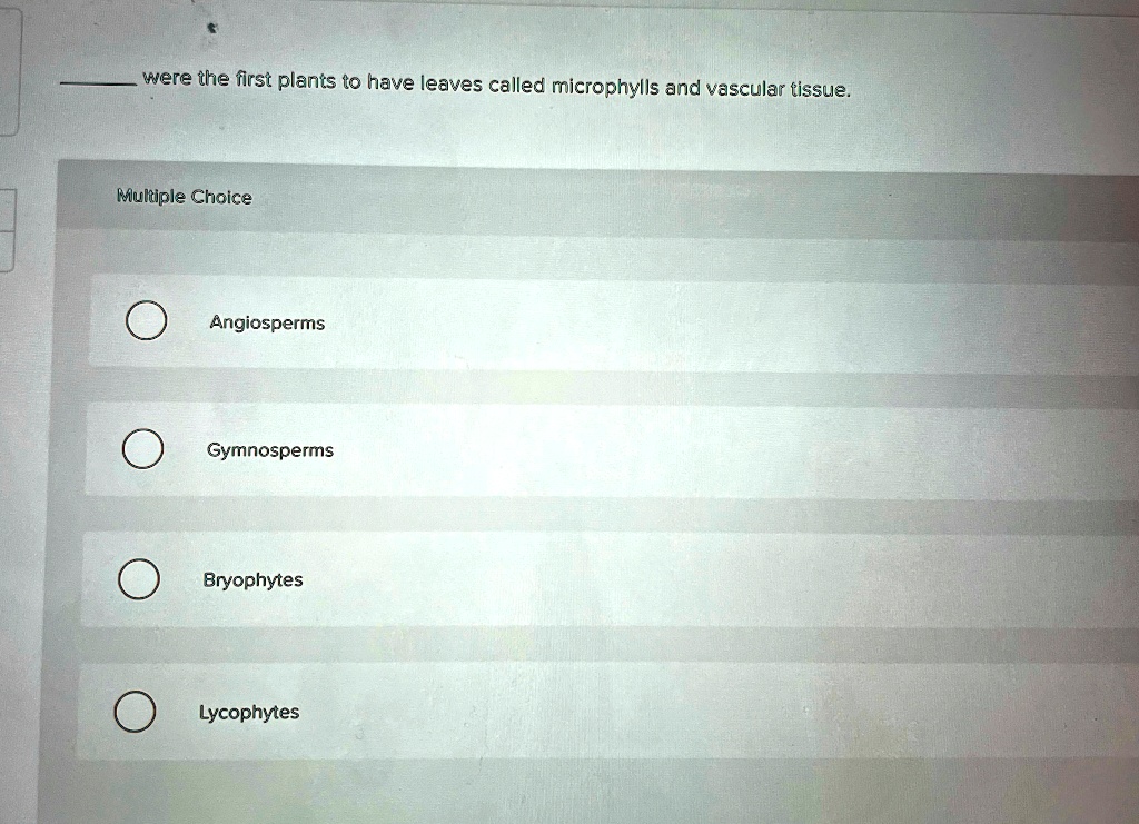 were the first plants to have leaves called microphylls and vascular ...