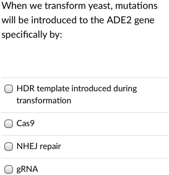 SOLVED: When we transform yeast; mutations will be introduced to the ...