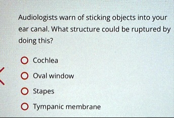 audiologists warn of sticking objects into your ear canal what ...
