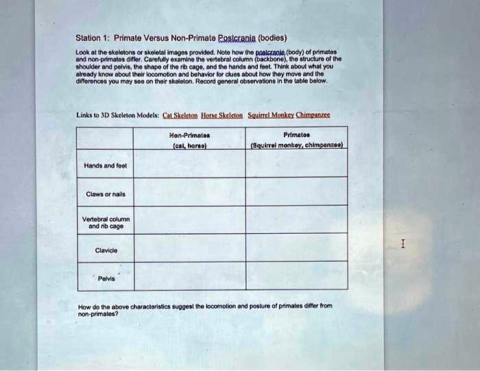 SOLVED: Texts: Lab 8 (station 1) Station 1: Primate Versus Non-Primate ...