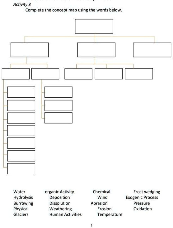 Activity 3 Complete the concept map using the words below. Water Hydrolysis Burrowing Physical ...