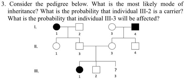 SOLVED: Consider the pedigree below: What is the most likely mode of ...