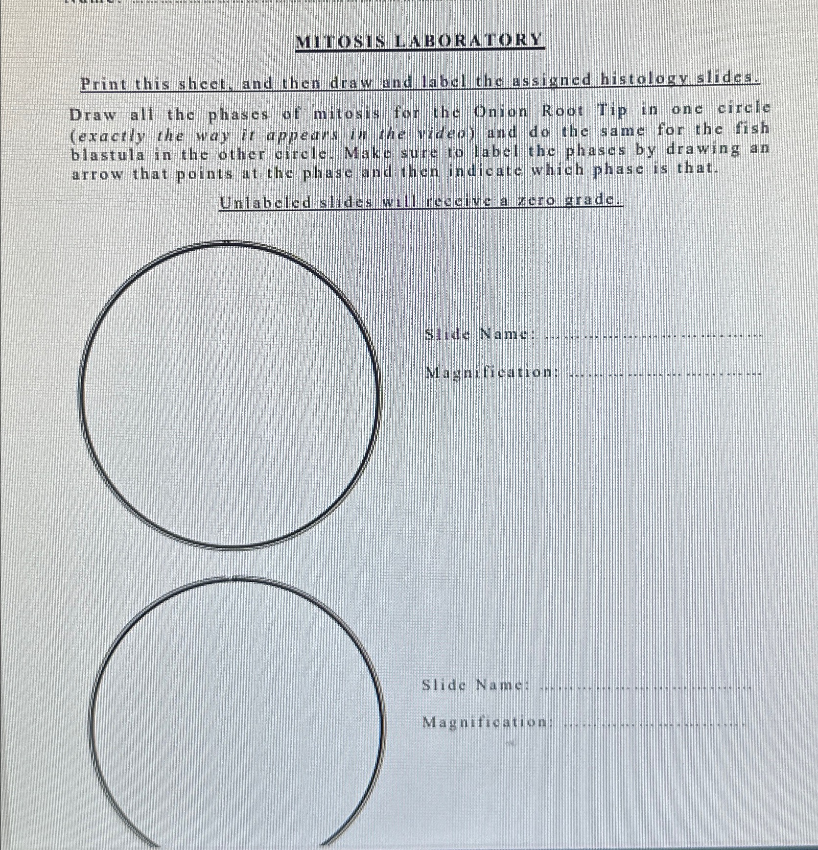 [GET ANSWER] MITOSIS LABORATORY Print this sheet, and then draw and ...