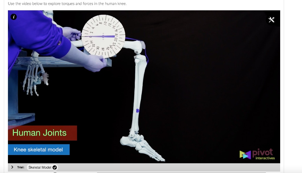 use the viceo below to explore torques and forces in thie hurian kree ...