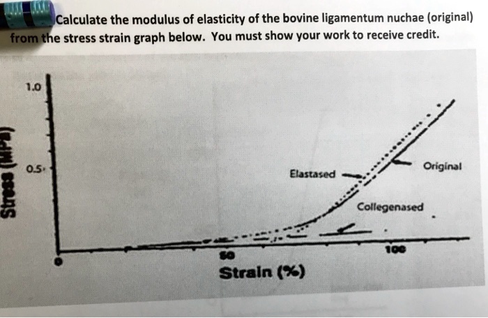 Solved Finding Modulus Of Elasticity Of Original Line On Graph Provided Calculate The Modulus