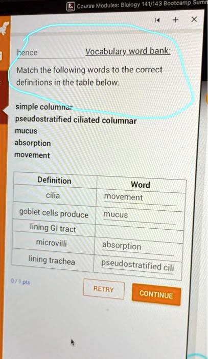 hence Vocabulary word bank: Match the following words to the correct ...