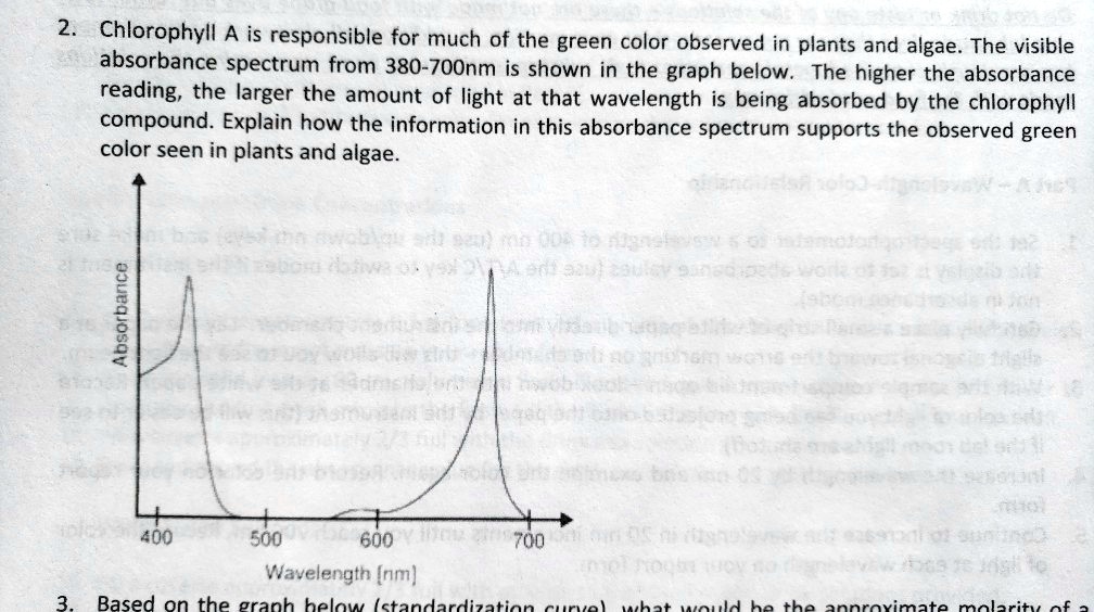 SOLVED:2. Chlorophyll A is responsible for much of the green color ...