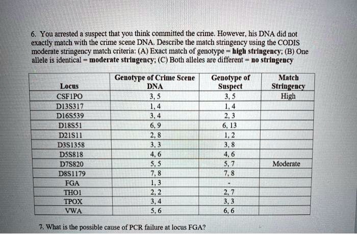 you arrested suspect that you think committed the crime however his dna ...