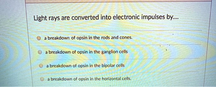 Light rays are converted into electronic impulses by... a breakdown of ...