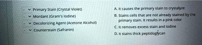 Primary Stain (Crystal Violet) Mordant (Gram's lodine) Decolorizing ...