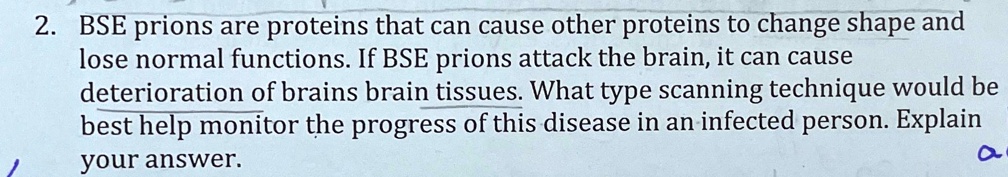 SOLVED: BSE prions are proteins that can cause other proteins to change ...